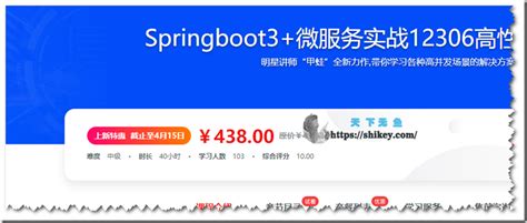 新版springboot30打造能落地的高并发仿12306售票（完结） 天下无鱼 资源博客