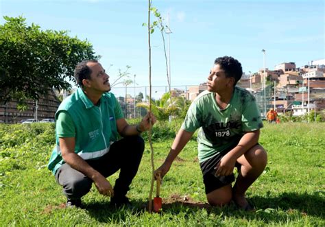 Bahia Ba Salvador Celebra O Dia Da Mata Atlântica Com O Plantio De 1