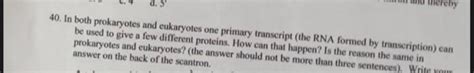 Solved 40 In Both Prokaryotes And Eukaryotes One Primary