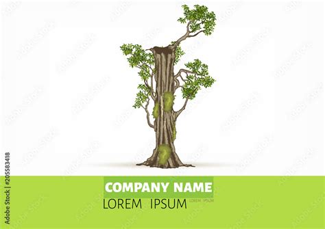 Tree Font Twisted Tree In The Shape Of Letter Letter A B C Vector Alphabet With Tree ABC