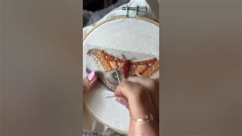 Embroidered Ployphemus Moth Youtube