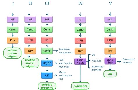 Figure 1 From Design Of Value Chains For Microalgal Biorefinery At