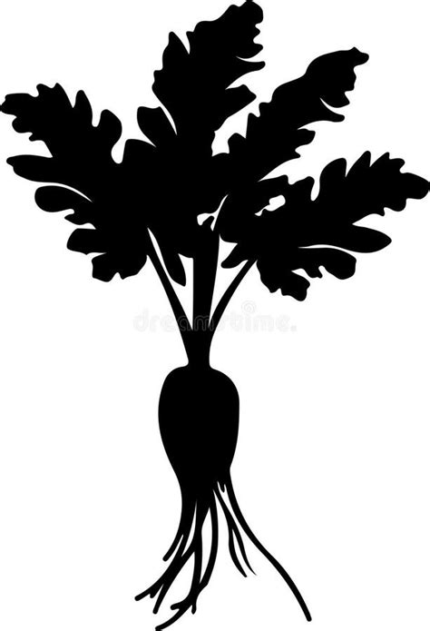 Parsnip Silhouette Stock Illustrations 57 Parsnip Silhouette Stock Illustrations Vectors Parsnip Silhouette Stock Illustrations 57 Parsnip Silhouette Stock Illustrations Vectors