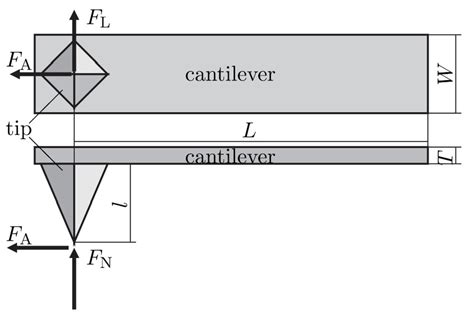 Rectangular Cantilever With Length L Width W Thickness T And Height Download Scientific