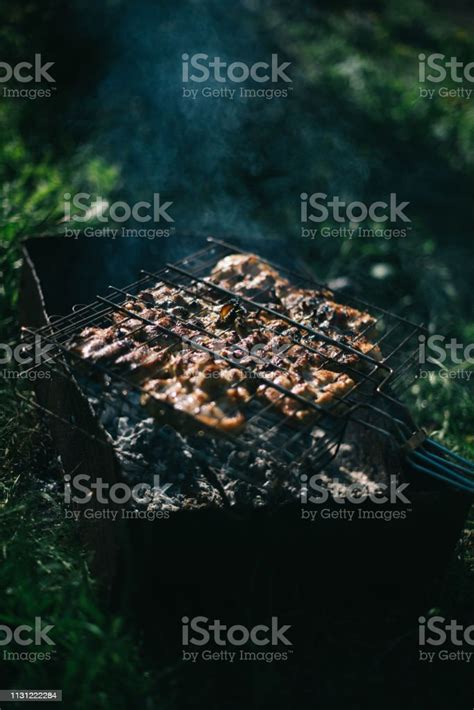 정원에서 여름 하루에 바베 큐 피크닉 야외 레크리에이션 컨셉 고기에 대한 스톡 사진 및 기타 이미지 고기 굽기 낮 Istock
