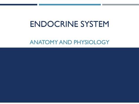 Endocrine System Anatomy And Physiology Power Point Teaching Resources