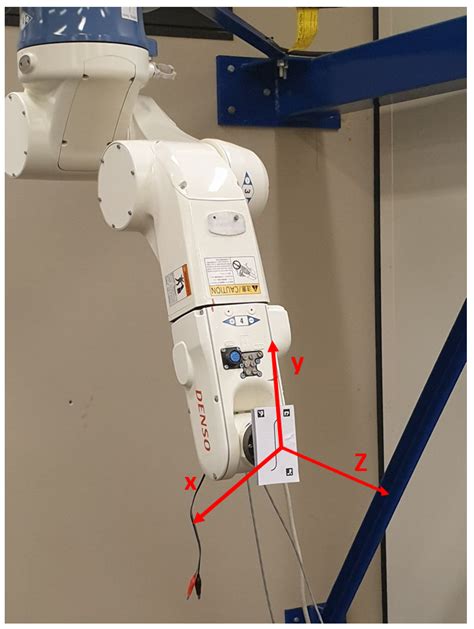 Automated Measurement Of Geometric Features In Curvilinear Structures Exploiting Stegers Algorithm