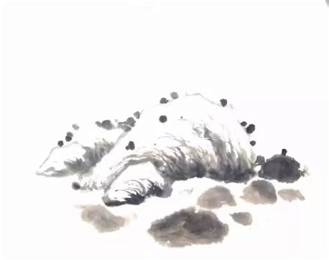 国画怎么画石头 画怎么画 画蜻蜓怎么画 大山谷图库