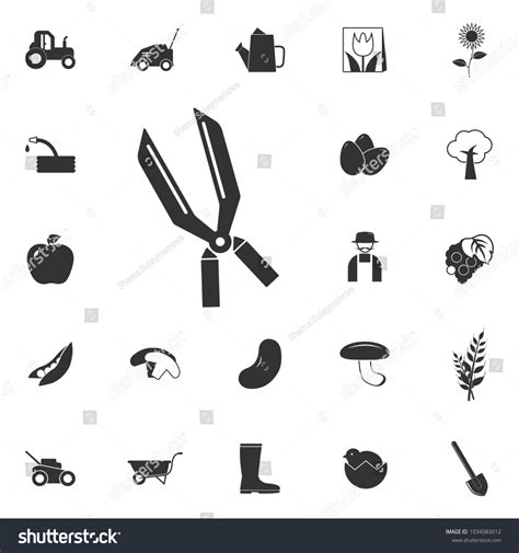 7 953 Tree Cutter Icon Images Stock Photos Vectors Shutterstock