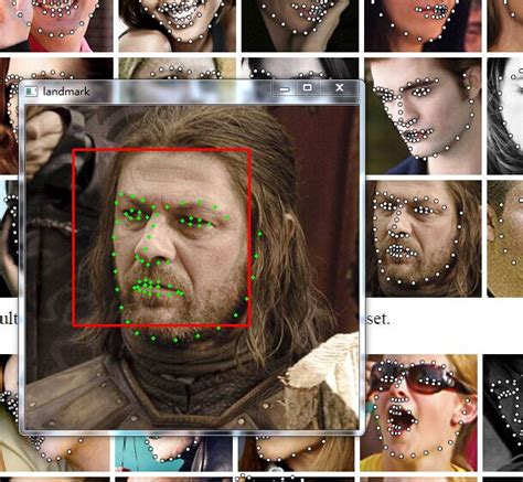Zhangjiezhangjie Face Alignment At 3000 Fps Via Regressing Local