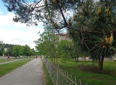 Поради від славутичан як захиститися від мошок та комарів Читайте на Ukr Net