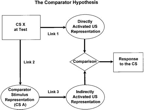 The Comparator Hypothesis Based On Miller And Matzel 1988 Conditioned