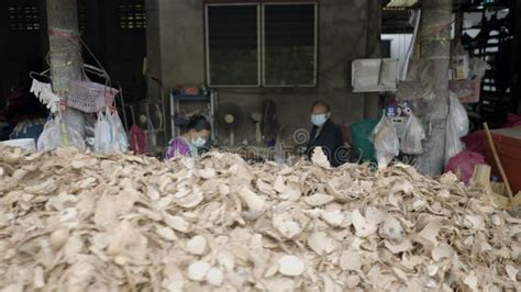 A Pile Of Coconut Shells With Two Old Asian Women Working On The