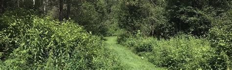 Hasse Lake 74 Reviews Map Alberta Canada Alltrails