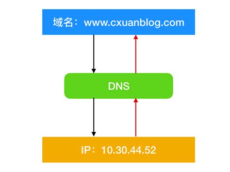 应用层协议：dns协议应用层dns协议 Csdn博客