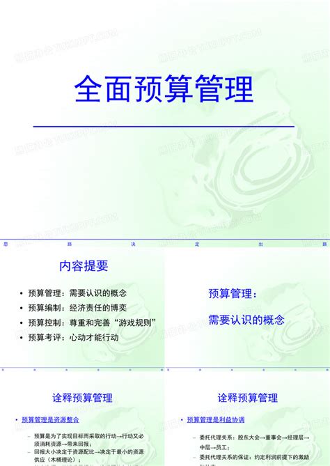全面预算管理ppt模板下载 编号qmgrvdve 熊猫办公
