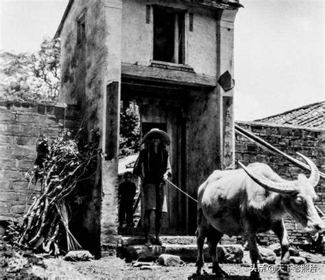 1931年海南岛老照片 黎族部落原生态生活影像及人物风貌 天下老照片网
