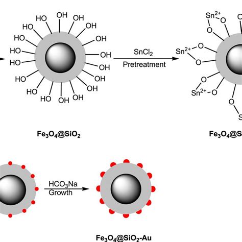 Synthesis Strategy For The Preparation Of Fe3o4 Pda Au Nanocomposites