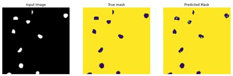 Github Hazirafidip4 Cell Nuclei Detection Via Semantic Segmentation Semantic Segmentation