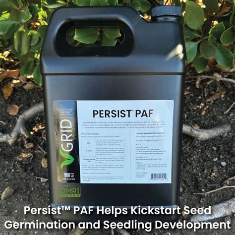 persist on linkedin persist persistncp biochar