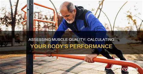 Assessing Muscle Quality Calculating Your Bodys Performance Cyvigor