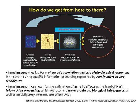 Imaging Genomics Is A Form Of Genetic
