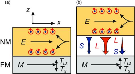 A The Spin Hall Effect And Orbital Hall Effect Induced By An Electric Download Scientific