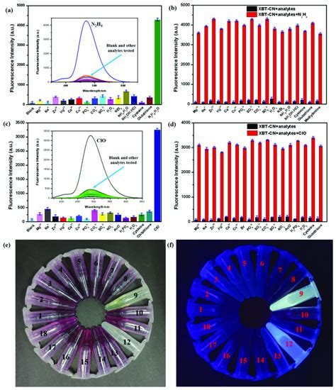 Ac Fluorescence Performance Of Xbt Cn 10 µm With The Addition Of