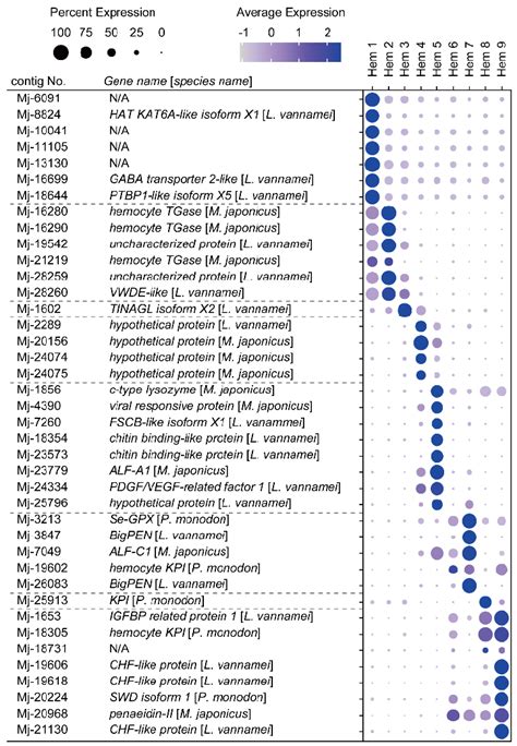 Dot Plot Representing The Marker Genes Per Cluster Based On The Average