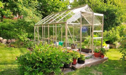 The 50 Best Greenhouse Plants To Grow Each Year Epic Gardening