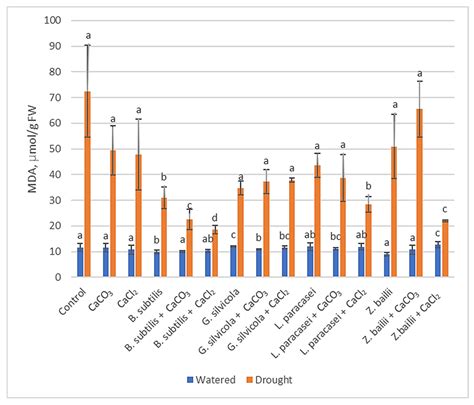 Physiological Biochemical And Genetic Reactions Of Winter Wheat To