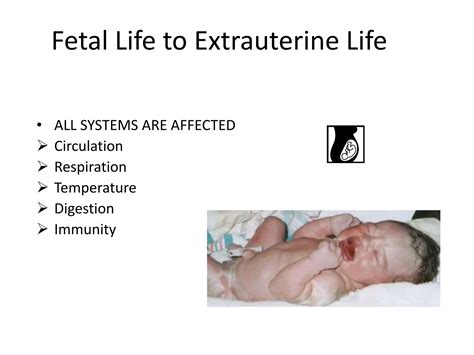 Extrauterine Adaptation Of Newborn Pptx