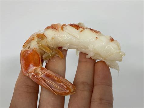 🦐폭탄 빅랍스터새우🦐 명품농수산