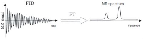 Fid Signal And MR Spectrum Download Scientific Diagram