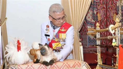 แมววิเชียรมาศ 2 ตัว ได้รับเลือกให้เป็น วิฬาร ในพระราชพิธีฯ มีชื่อว่า บุญเต็ม และ บุญเติม