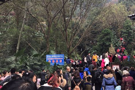 2021好不容易到达白公馆景区大门口的车辆人群更甚路上瞬间失去了兴致抱着走走看的态度又往上爬 歌乐山烈士陵园 评论 去哪儿攻略