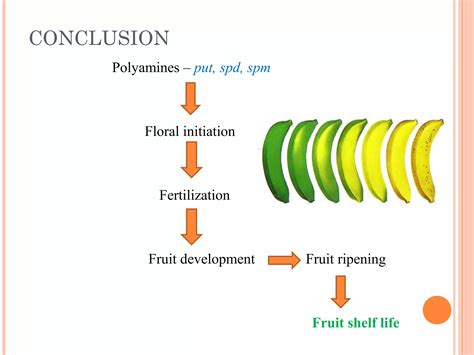 1 Role Of Polyamines In Flowering And Fruit Ripening Ppt