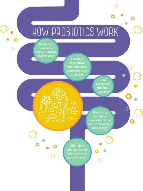 How Long Does It Take Probiotics To Balance Ph