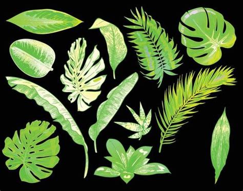 Tree Leaf Vector Art Icons And Graphics For Free Download