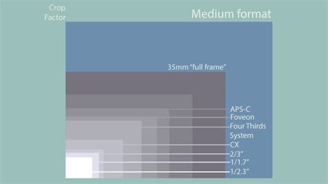 Digital Camera Crop Factor Explained At Lisa Leach Blog