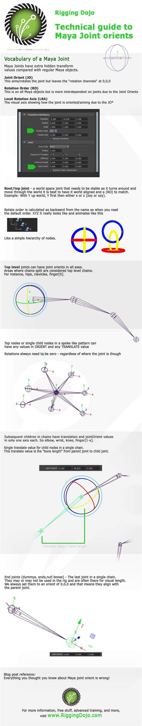 Rigging Dojo Visual Guide Infographic On Creating Clean Skeletons Rigs Maya Maya Modeling