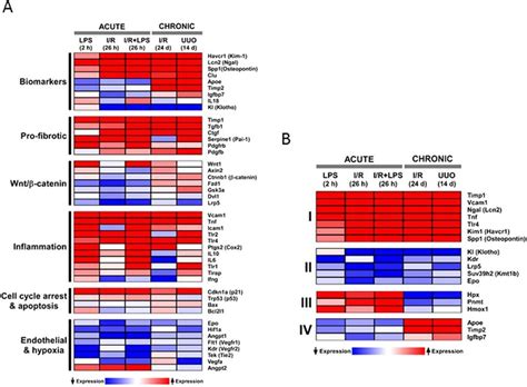 Heatmap Representation Of Select Candidate Genes Grouped Based On Their