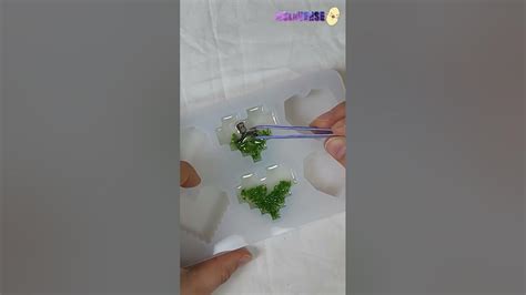 스즈메의 문단속 소타 키링 Shorts Youtube