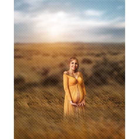 Dry Grass Field Digital Backdrop Valley