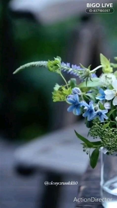 Добрый вечер Счастливые картинки Музыкальные картинки Картинки