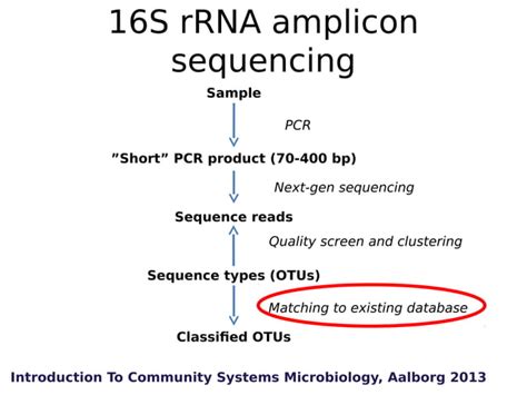Amplicon Sequencing Introduction Pdf Biological Sciences Science