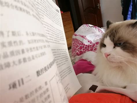 满脸都写着高兴 哔哩哔哩
