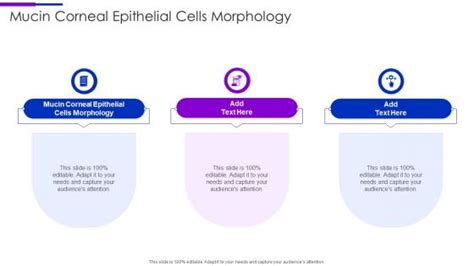 Mucin Corneal Epithelial Cells Morphology Powerpoint Presentation And Slides Slideteam