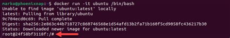Docker Run Command Syntax Options Examples
