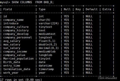 数据库操作与数据类型概述 Csdn博客
